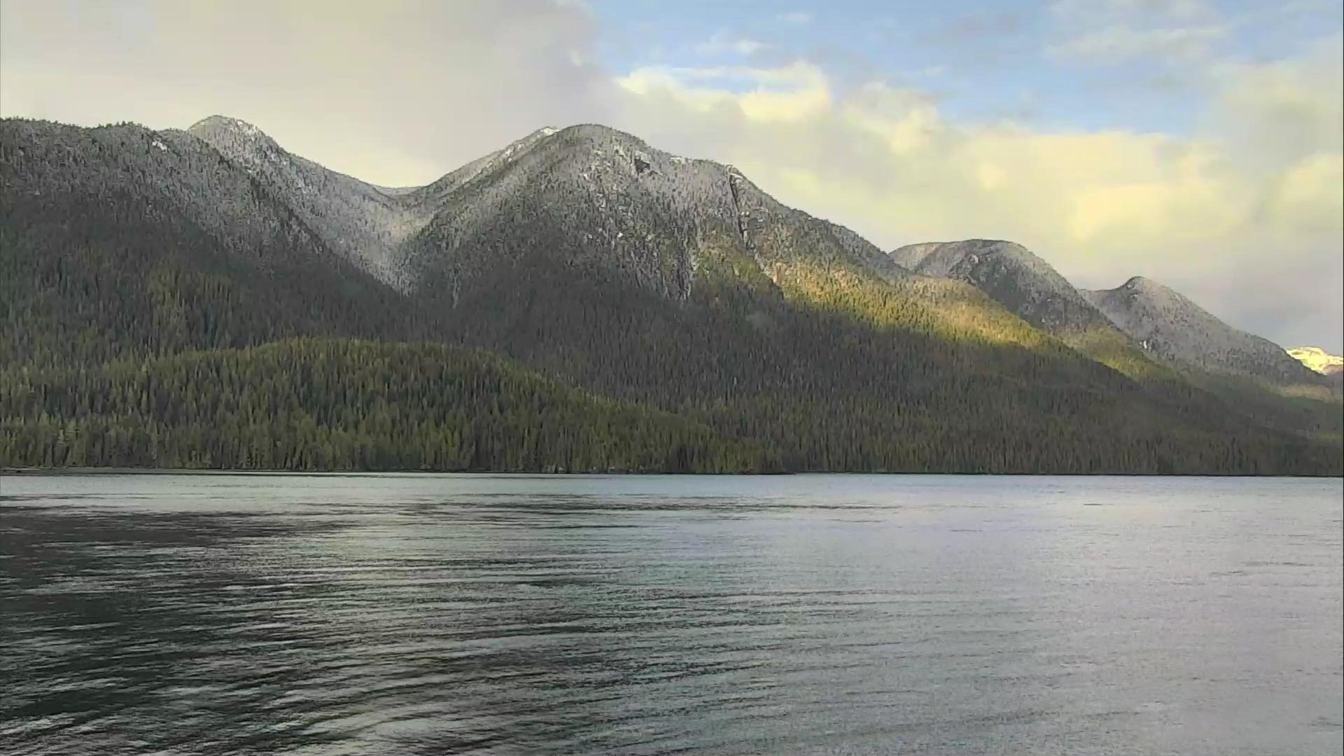 Orca Cam at Robson Bight and Critical Point | Explore.org