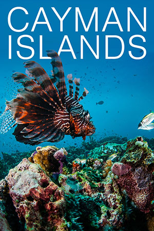 Cayman Reef Cam