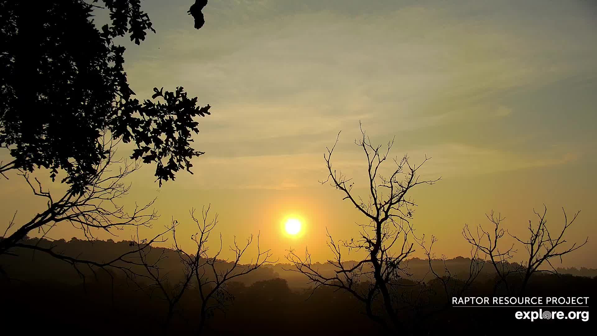 Decorah North Eagles Snapshot taken by Anita F. | Explore.org
