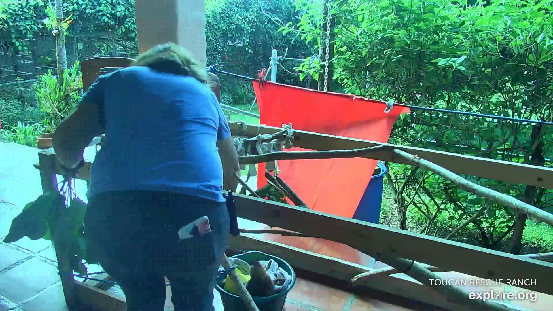 Sloth TV Snapshot taken by Jewel2 | Explore.org