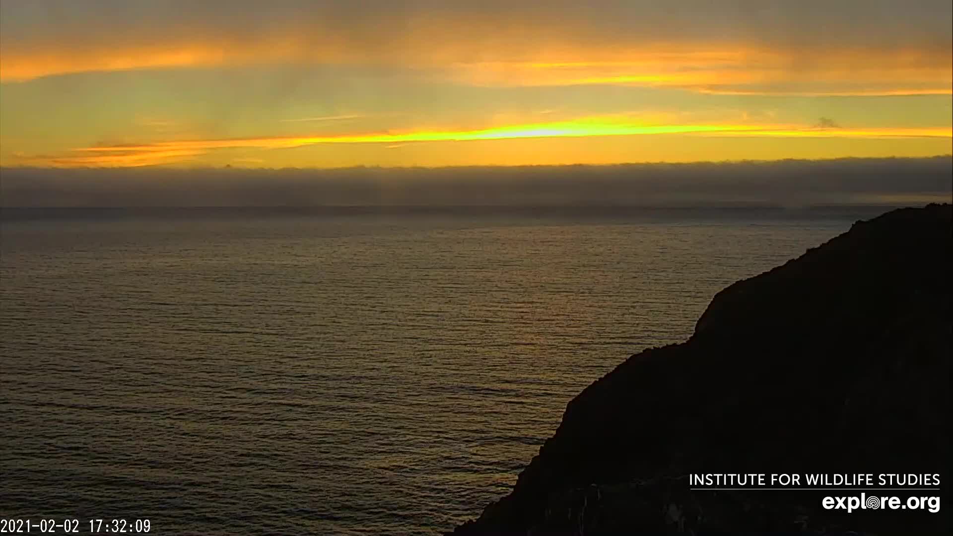 Two Harbors Bald Eagle Cam Snapshot taken by Bonironi | Explore.org