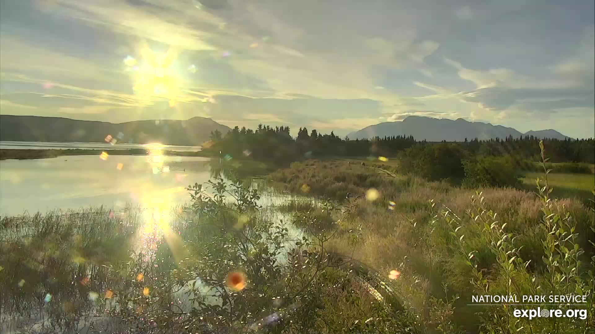 Kat's River View Snapshot taken by Jopaws | Explore.org