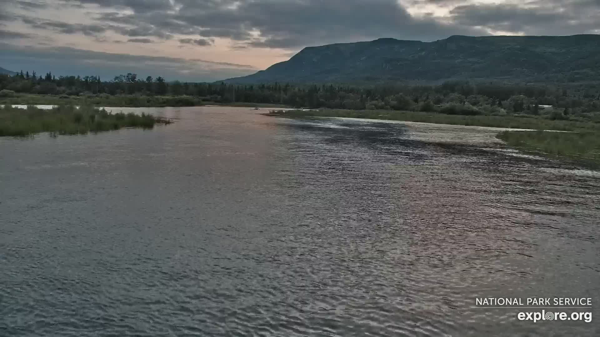 River Watch Bear Cam Snapshot taken by Bearoplane_747 | Explore.org
