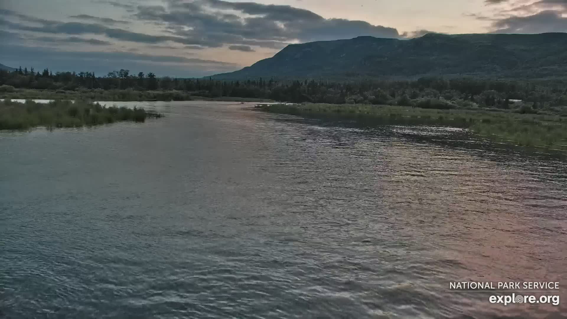 River Watch Bear Cam Snapshot taken by Bearoplane_747 | Explore.org