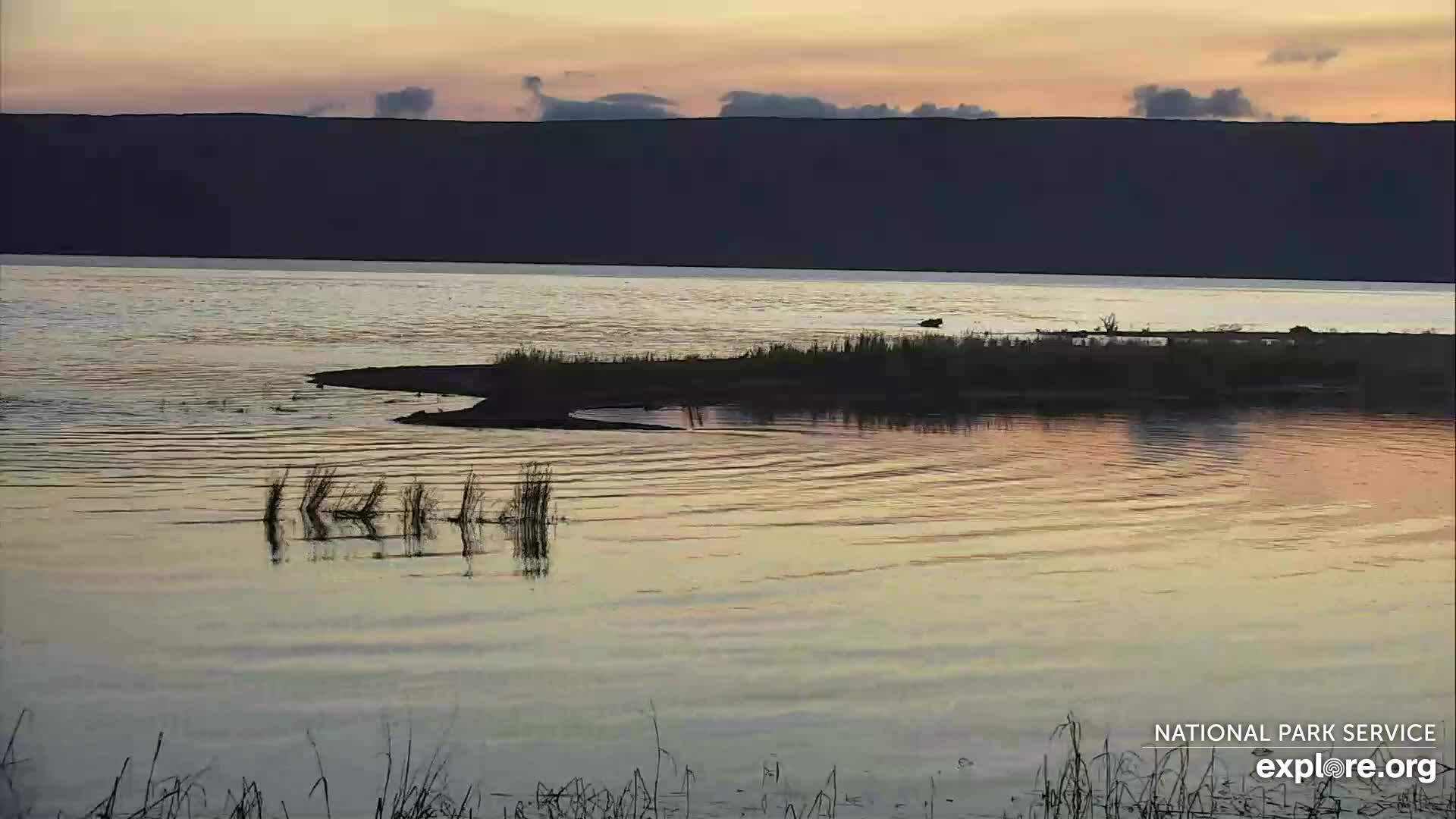 Kat's River View Snapshot taken by Jopaws | Explore.org