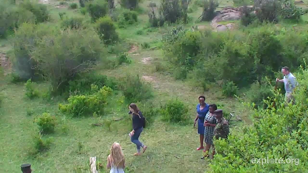 Snapshots | Explore.org