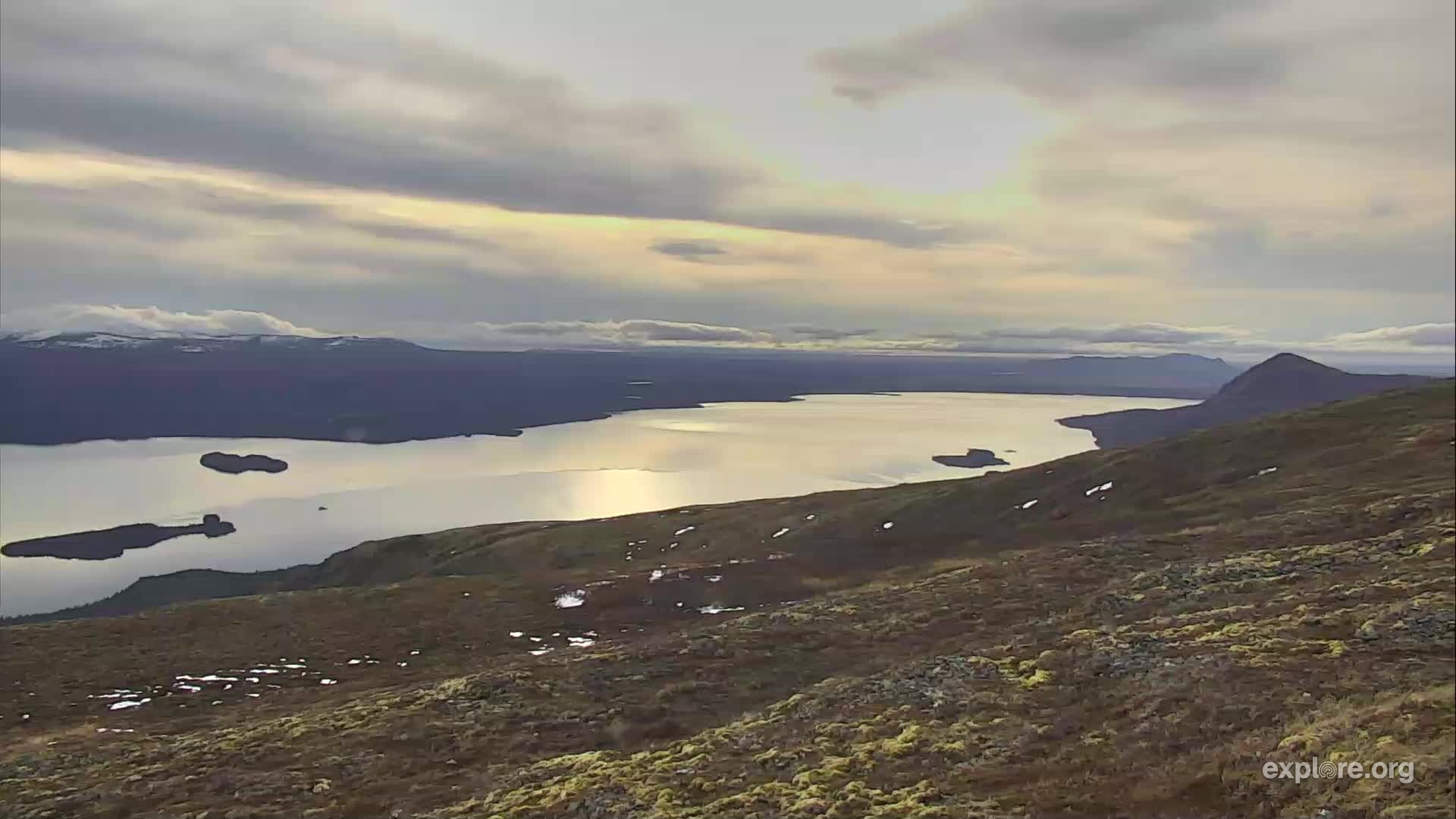 Dumpling Mountain Snapshots | Explore.org