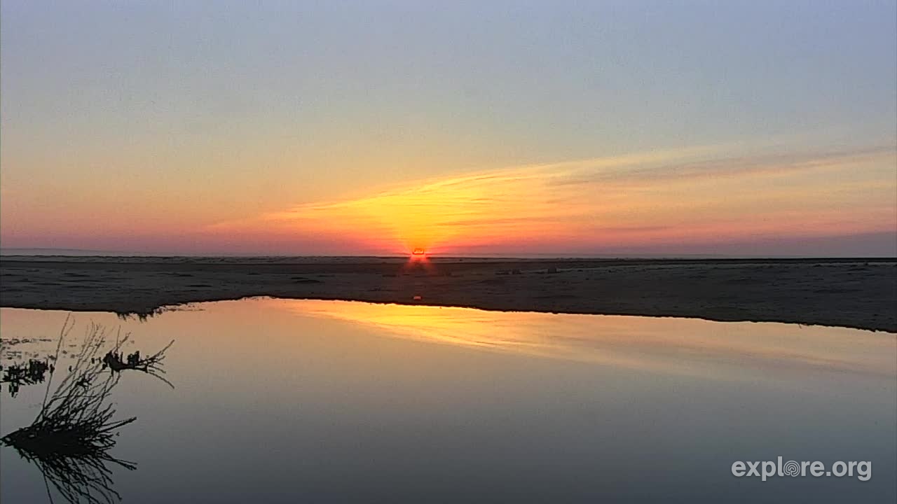 Snapshots | Explore.org