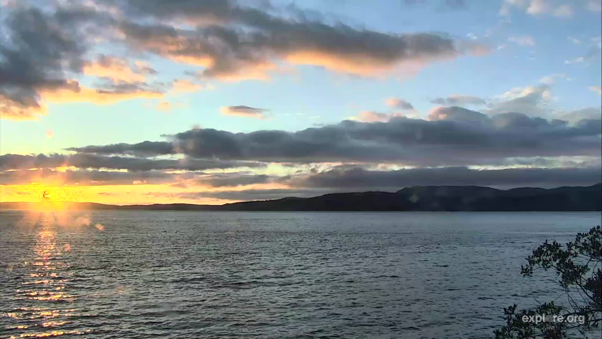 Snapshots | Explore.org