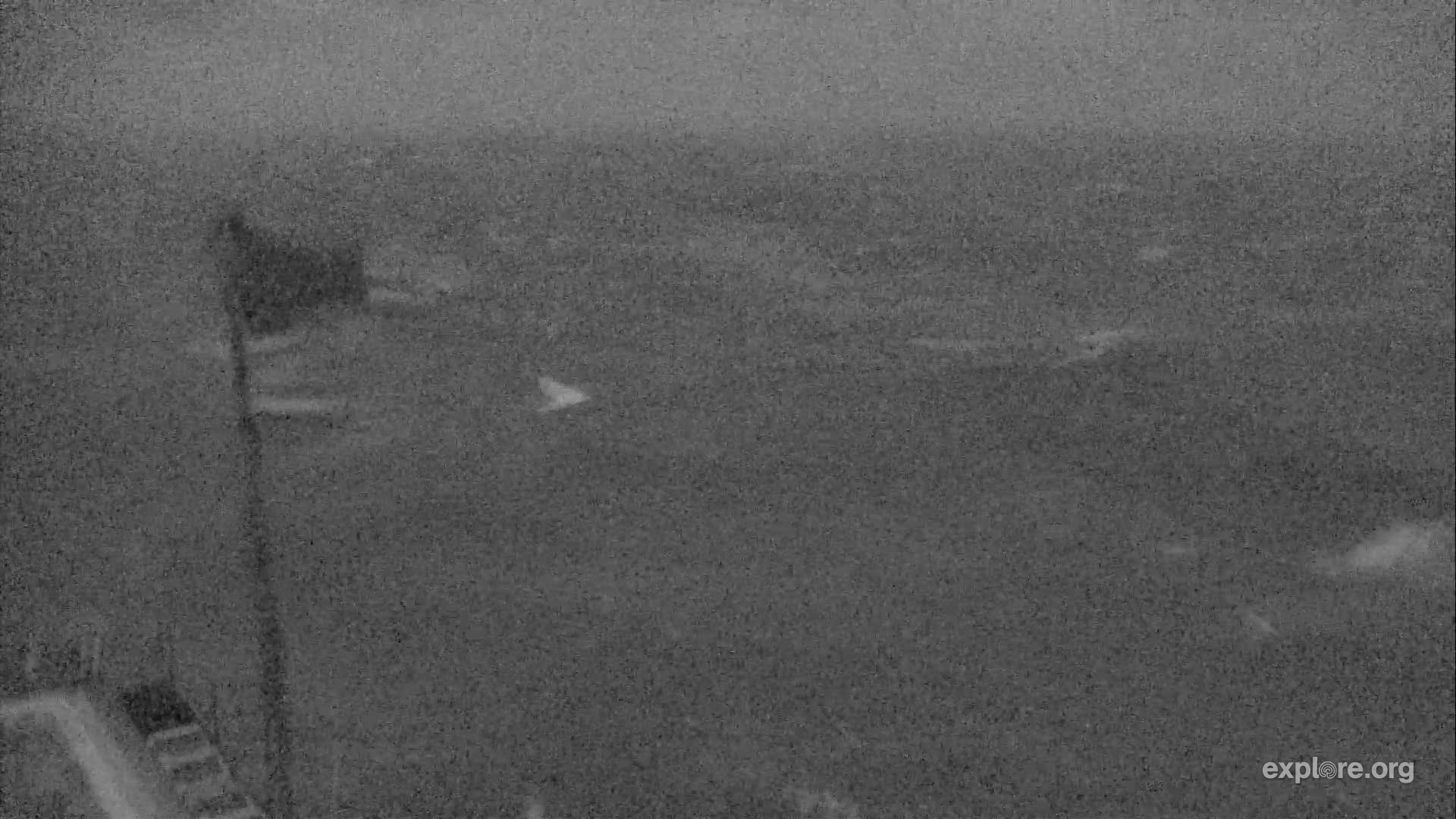 Frying Pan Tower Ocean View Snapshots | Explore.org